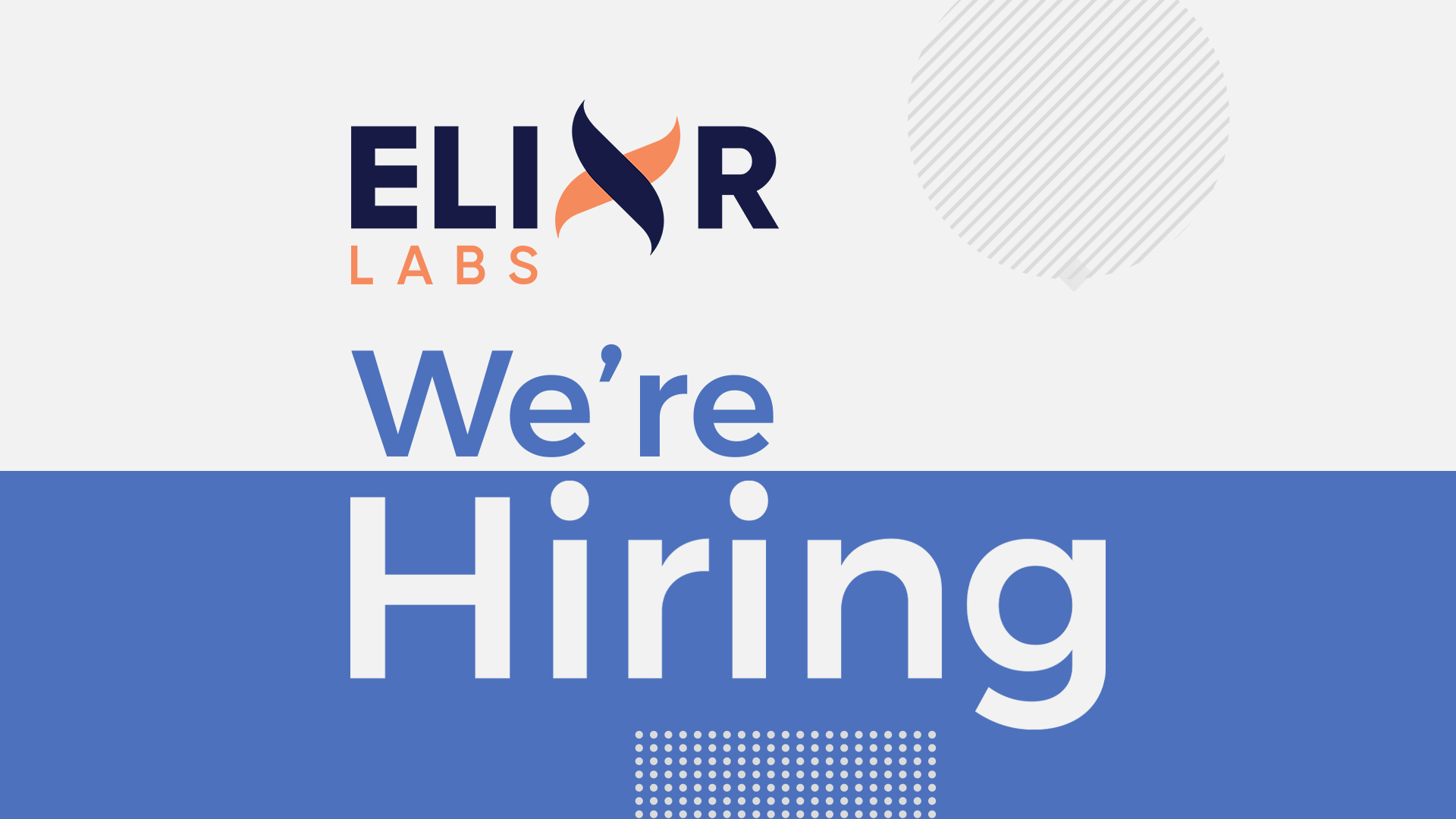 Career at Elixr Labs